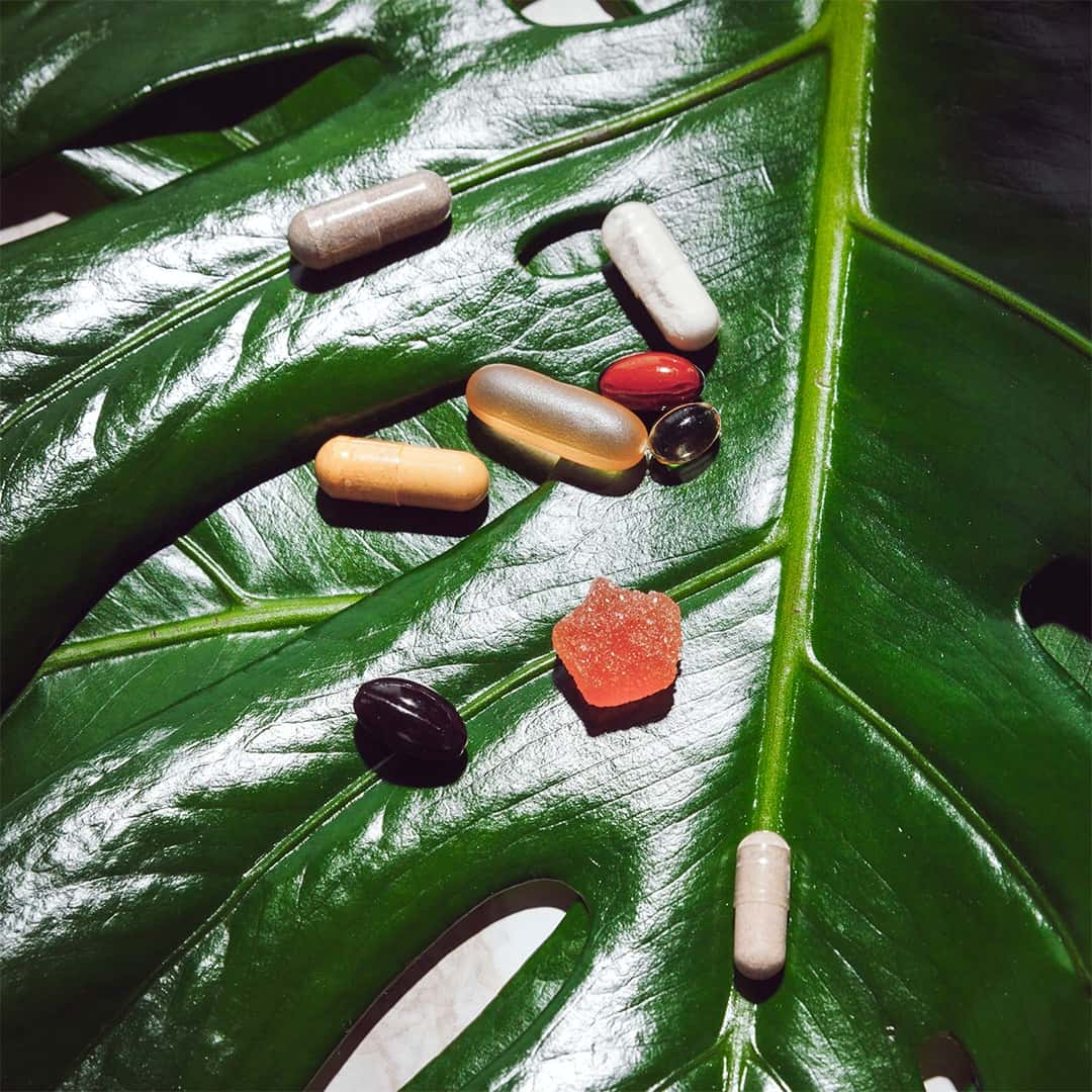 LiveWell Review - Must Read This Before Buying