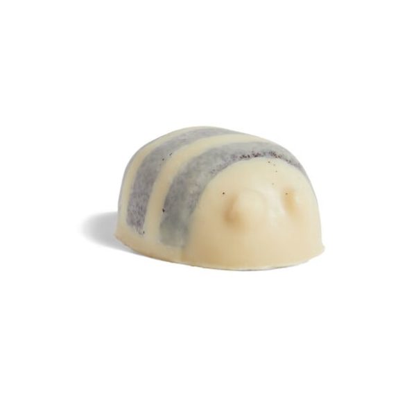 Lush Cosmetics Review - Must Read This Before Buying