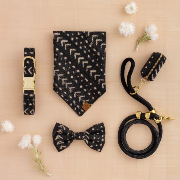 The Foggy Dog Review - Must Read This Before Buying