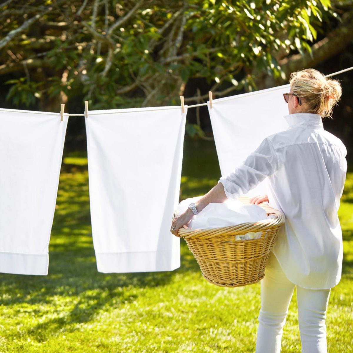 The Laundress Review - Must Read This Before Buying