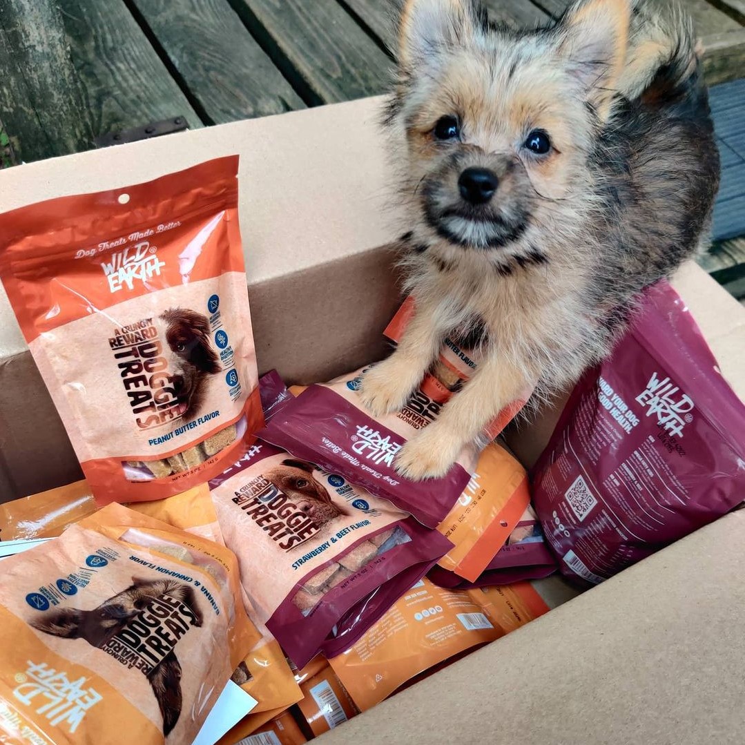 Wild Earth Dog Food Review Must Read This Before Buying Wild Earth Dog Food Review Must Read This Before Buying