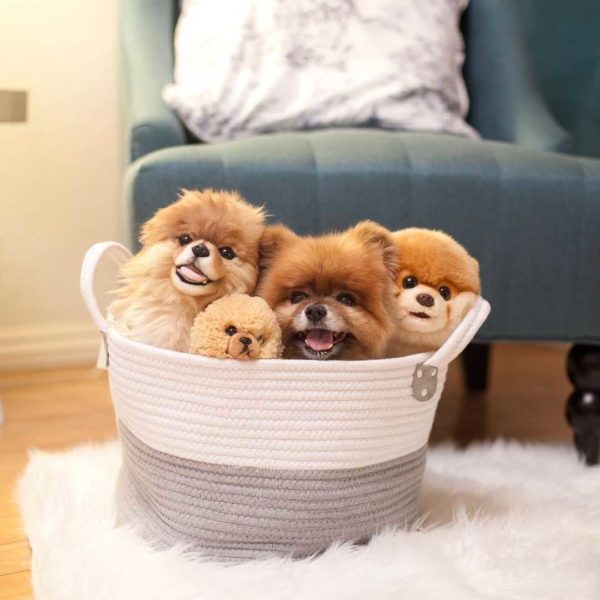 Cuddle Clones Review - Must Read This Before Buying