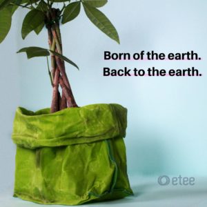 Etee Review - Must Read This Before Buying