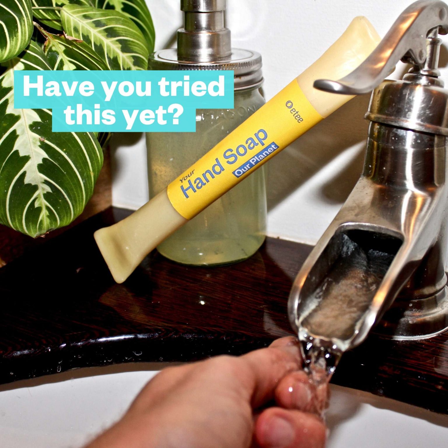 Etee Review - Must Read This Before Buying