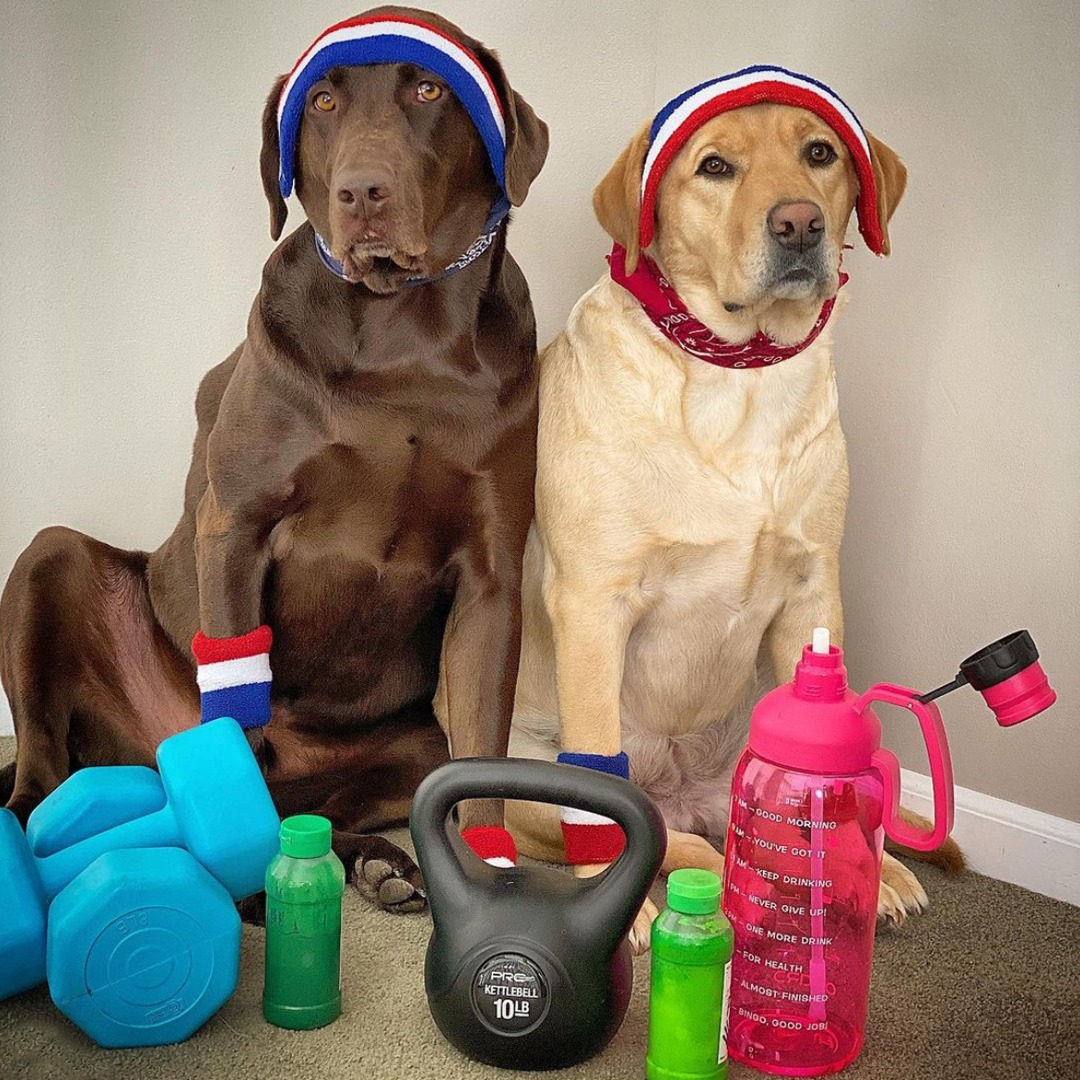 Five Below Review - Must Read This Before Buying