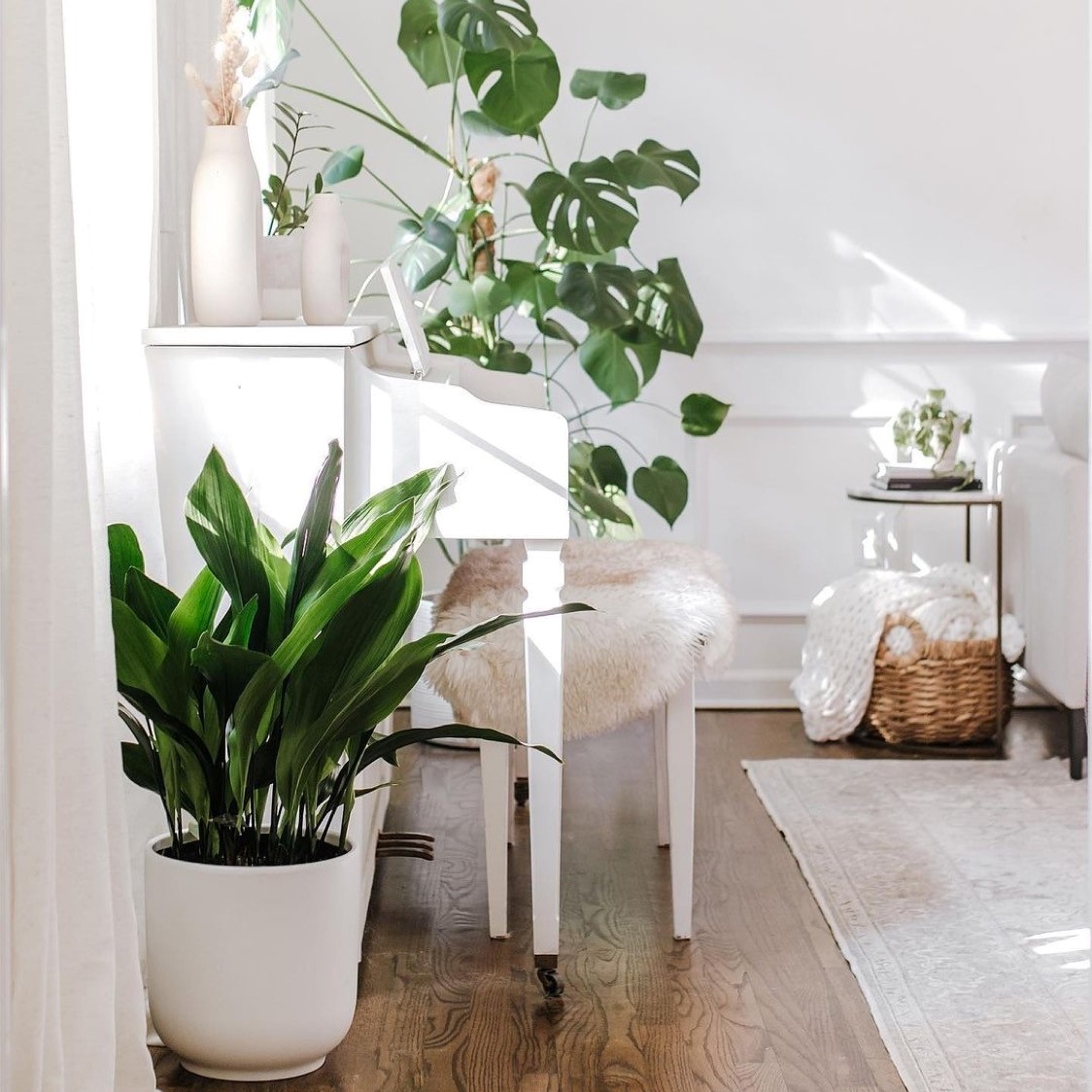 Léon and George Review - Must Read This Before Buying