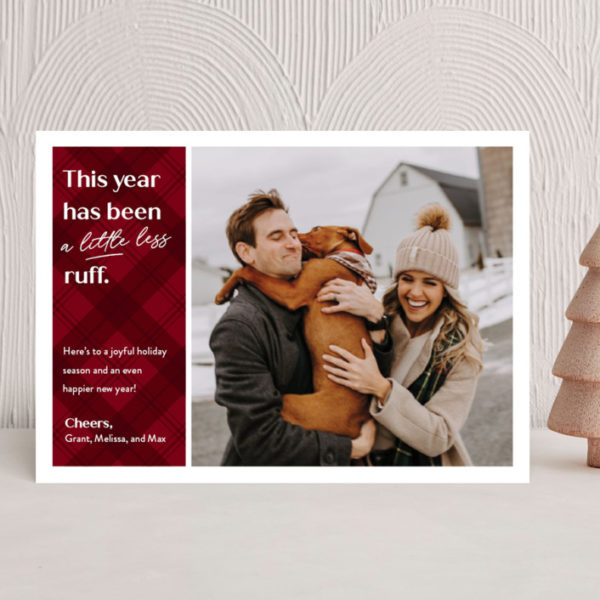 Minted Review - Must Read This Before Buying