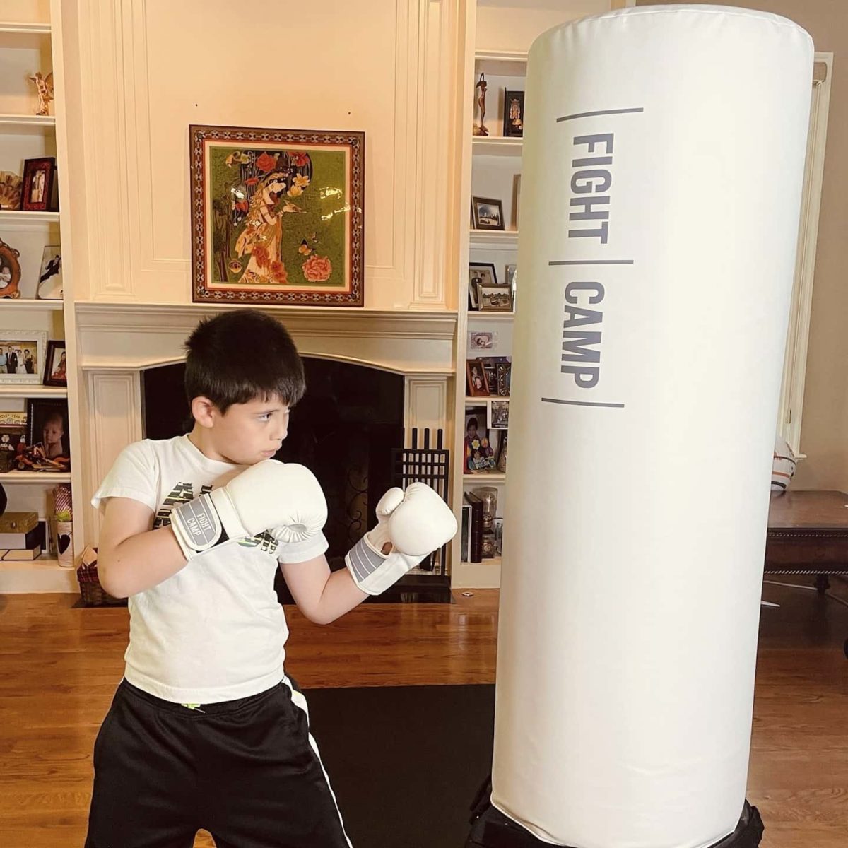 Fight Camp Review - Must Read This Before Buying