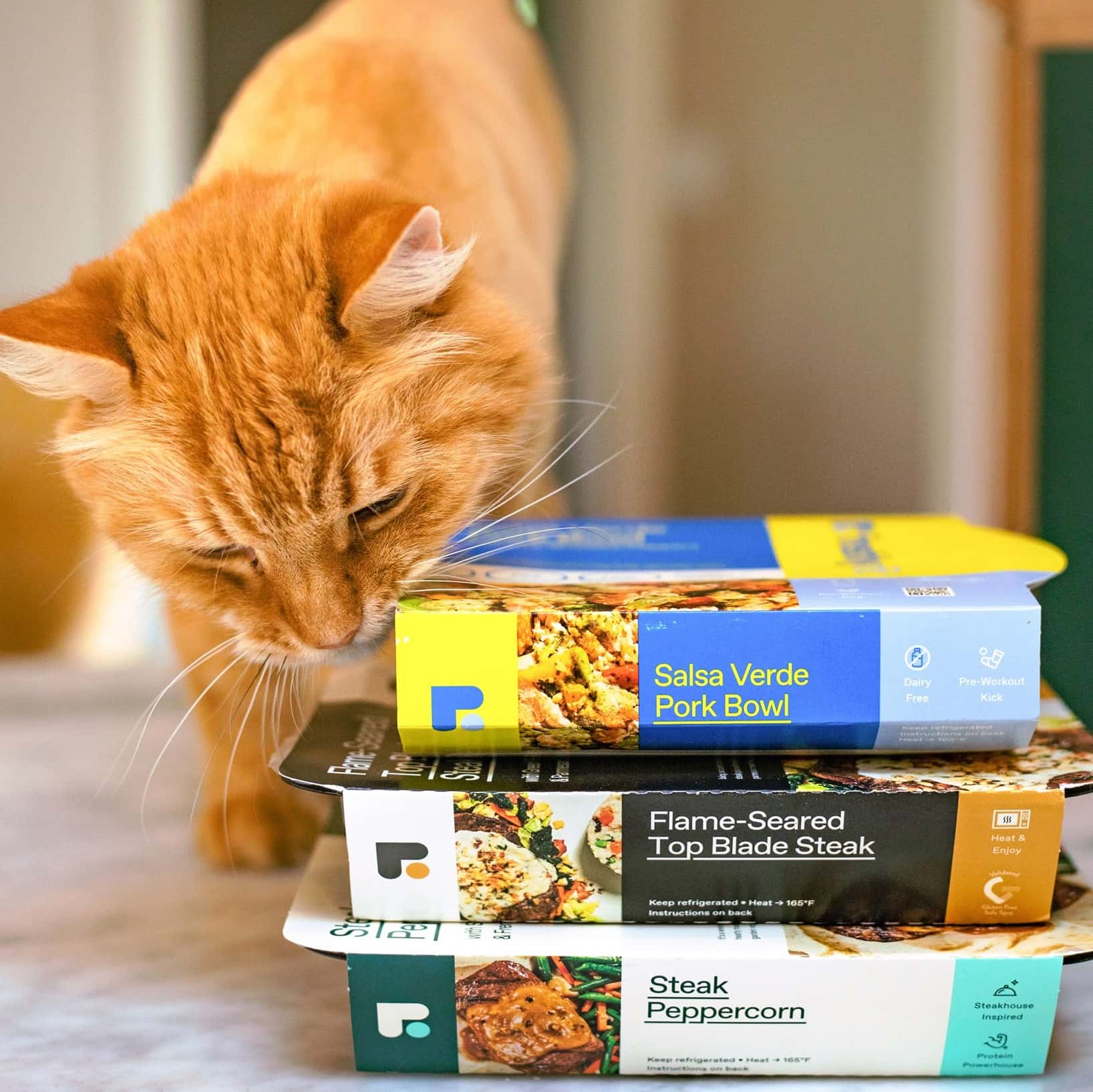 Freshly Review - Must Read This Before Buying