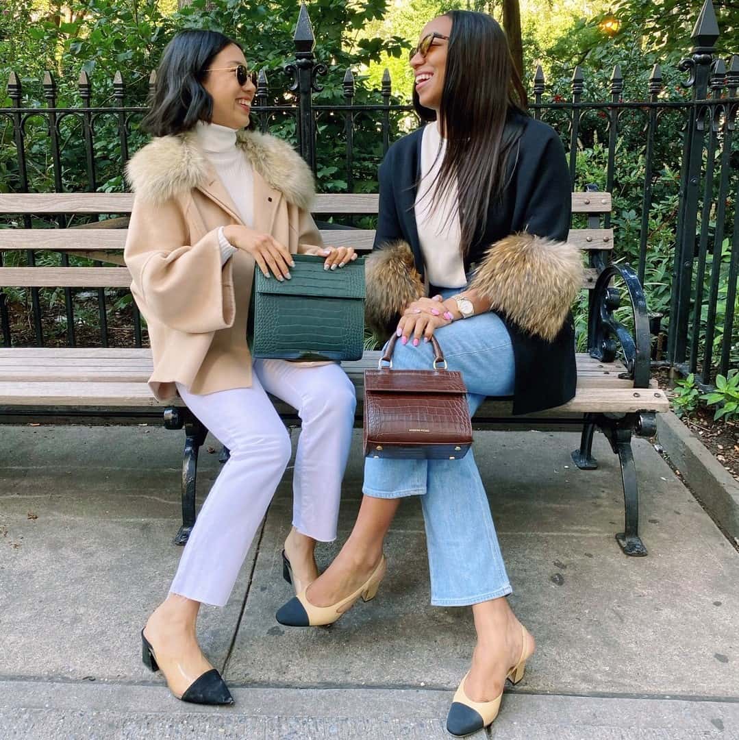 Modern Picnic Review - Must Read This Before Buying