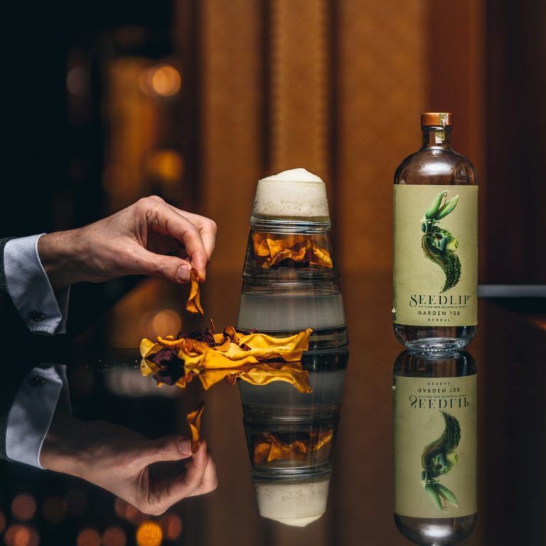 SeedLip Review - Must Read This Before Buying