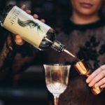 SeedLip Review - Must Read This Before Buying