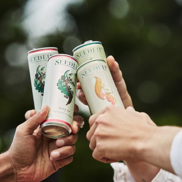 SeedLip Review - Must Read This Before Buying