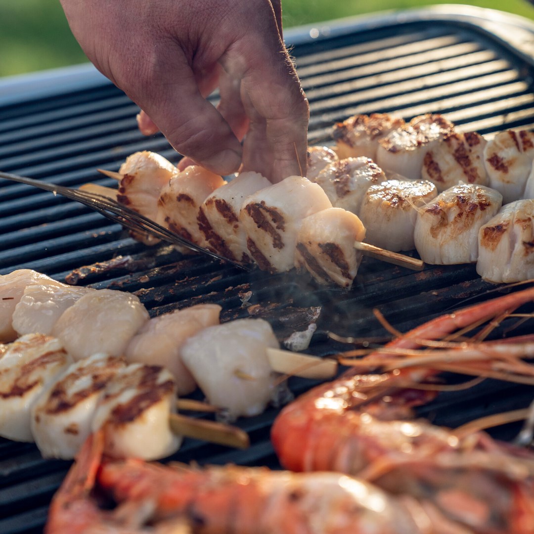 Spark Grills Review - Must Read This Before Buying