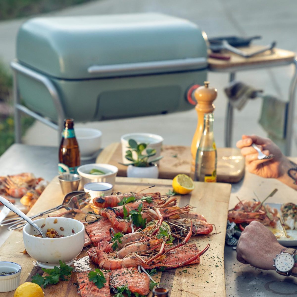 Spark Grills Review - Must Read This Before Buying