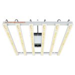 Spider Farmer LED Grow Lights Review - Must Read This Before Buying