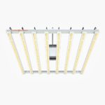 Spider Farmer LED Grow Lights Review - Must Read This Before Buying