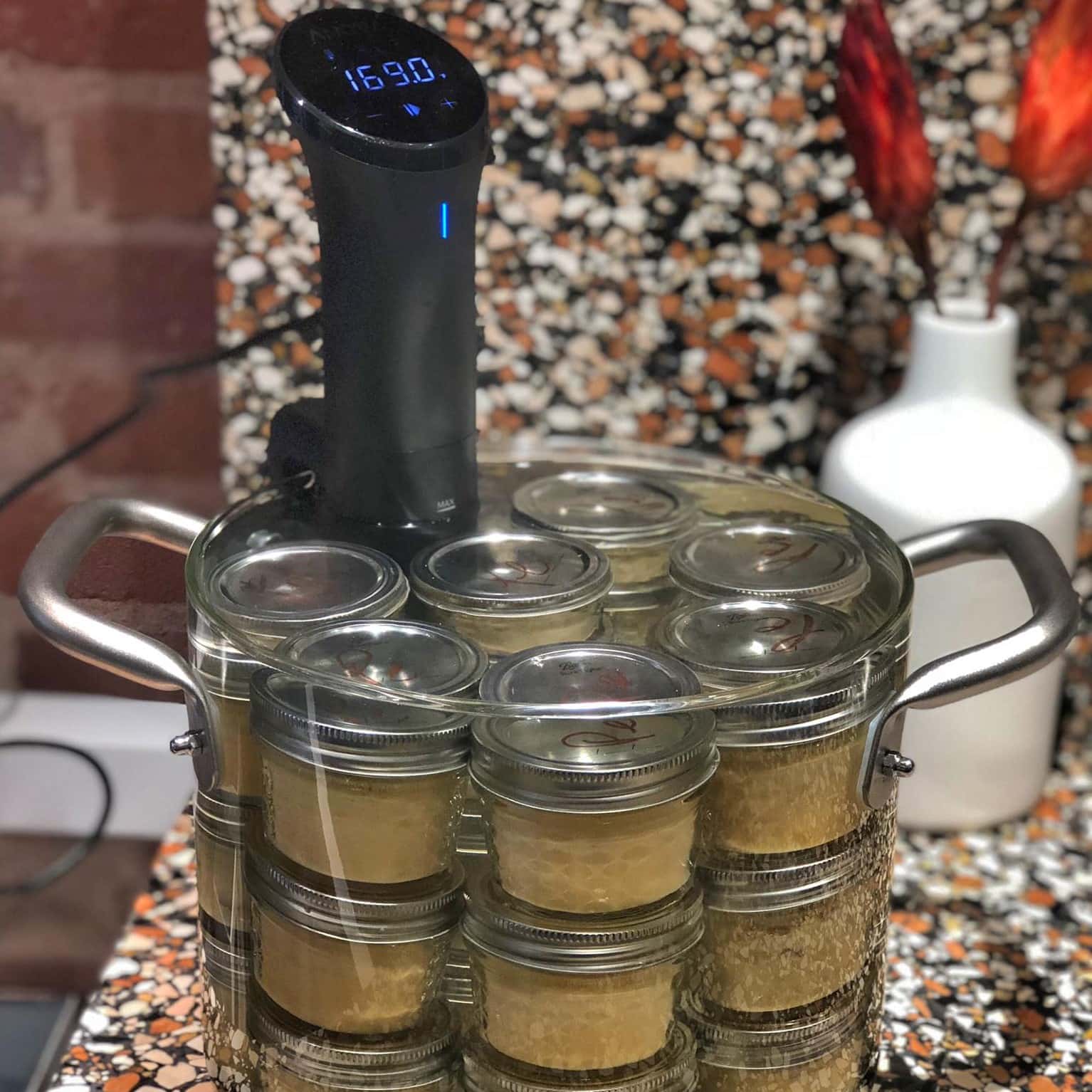 Anova Culinary Review - Must Read This Before Buying