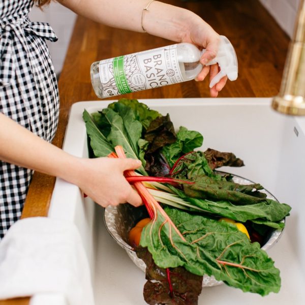 Branch Basics Review - Must Read This Before Buying