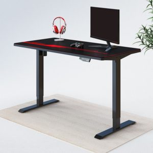 FlexiSpot Standing Desk Review - Must Read This Before Buying