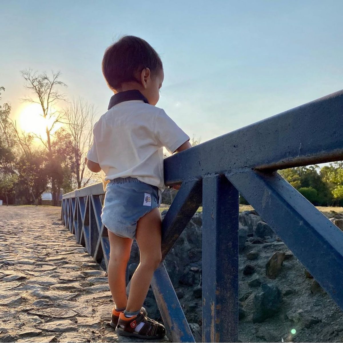 Grovia Review - Must Read This Before Buying