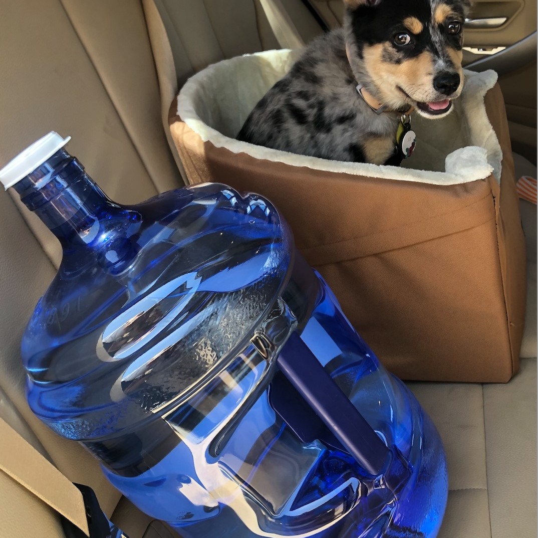 Primo Water Dispenser Review - Must Read This Before Buying