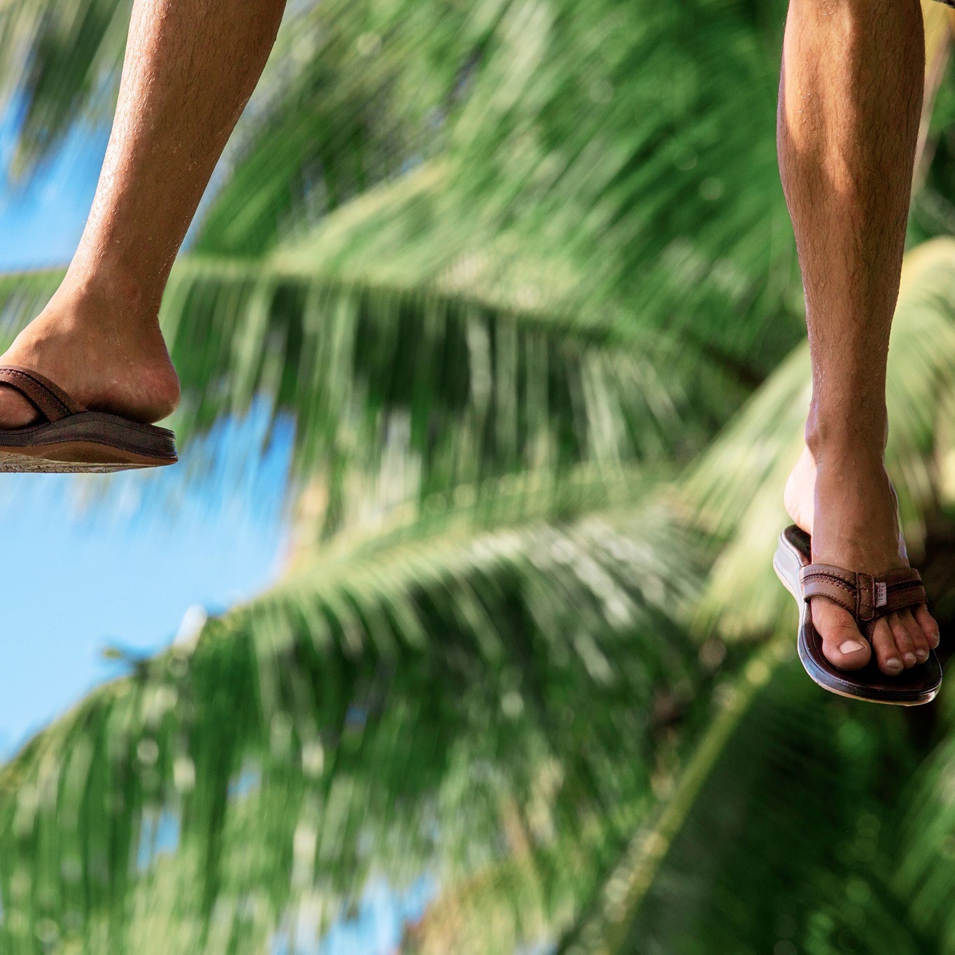 Reef Review - Must Read This Before Buying