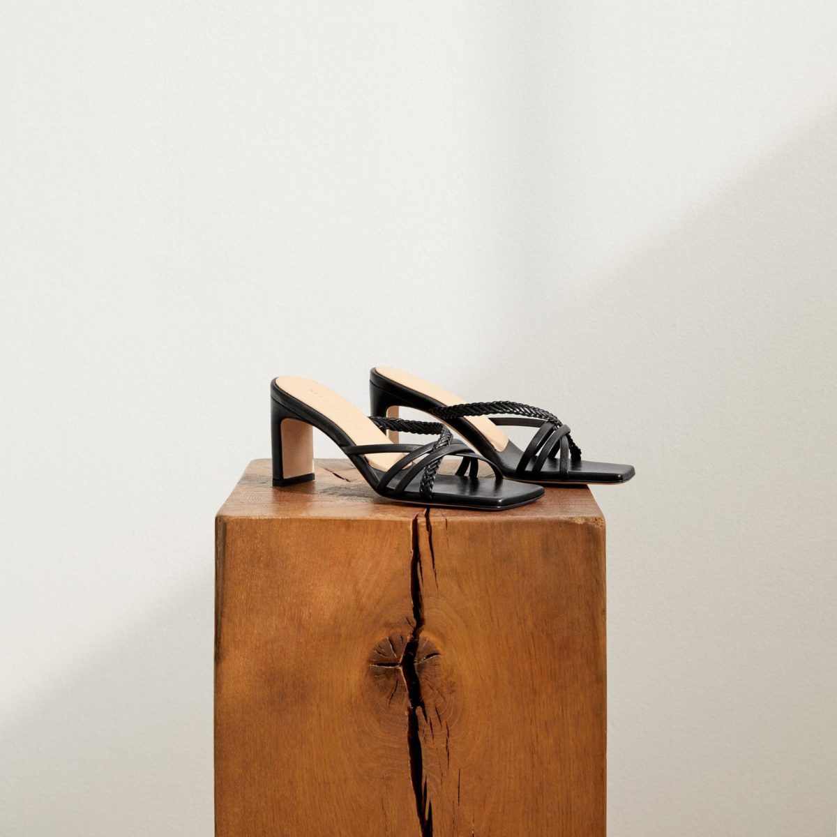 Dear Frances Review - Must Read This Before Buying