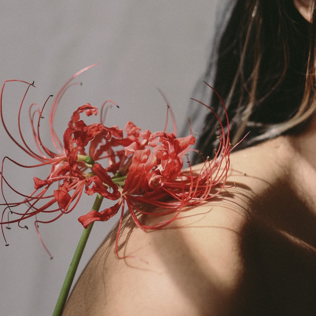 Henry Rose Review - Must Read This Before Buying