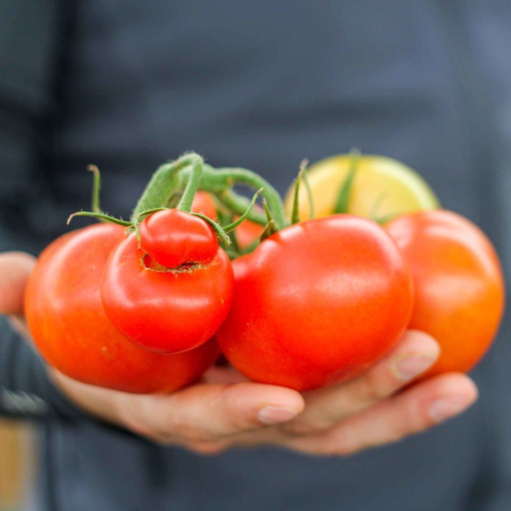 Imperfect Foods Review - Must Read This Before Buying