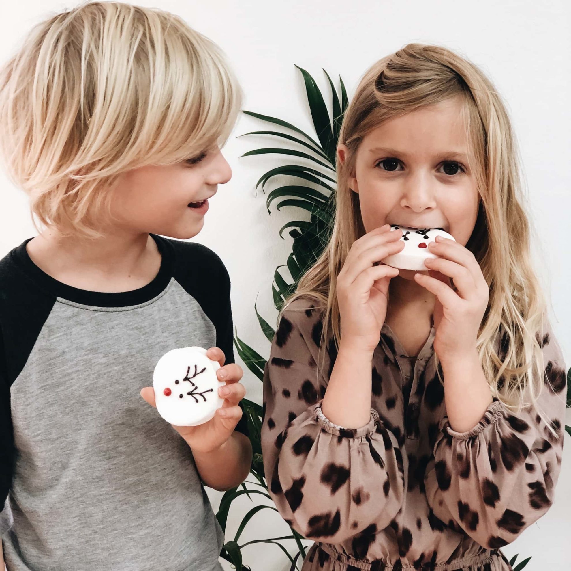 Knack Shops Review - Must Read This Before Buying