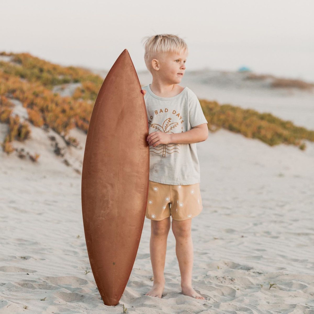 Ladida Review - Must Read This Before Buying