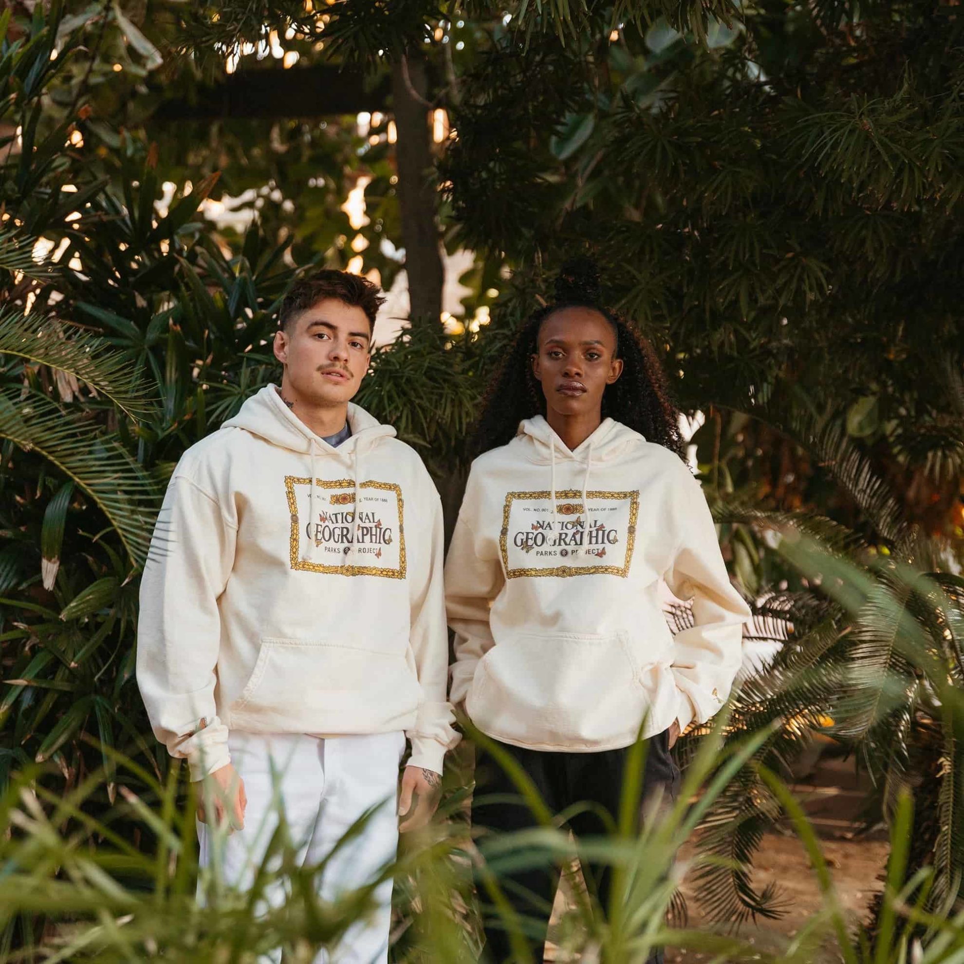 Parks Project Review - Must Read This Before Buying