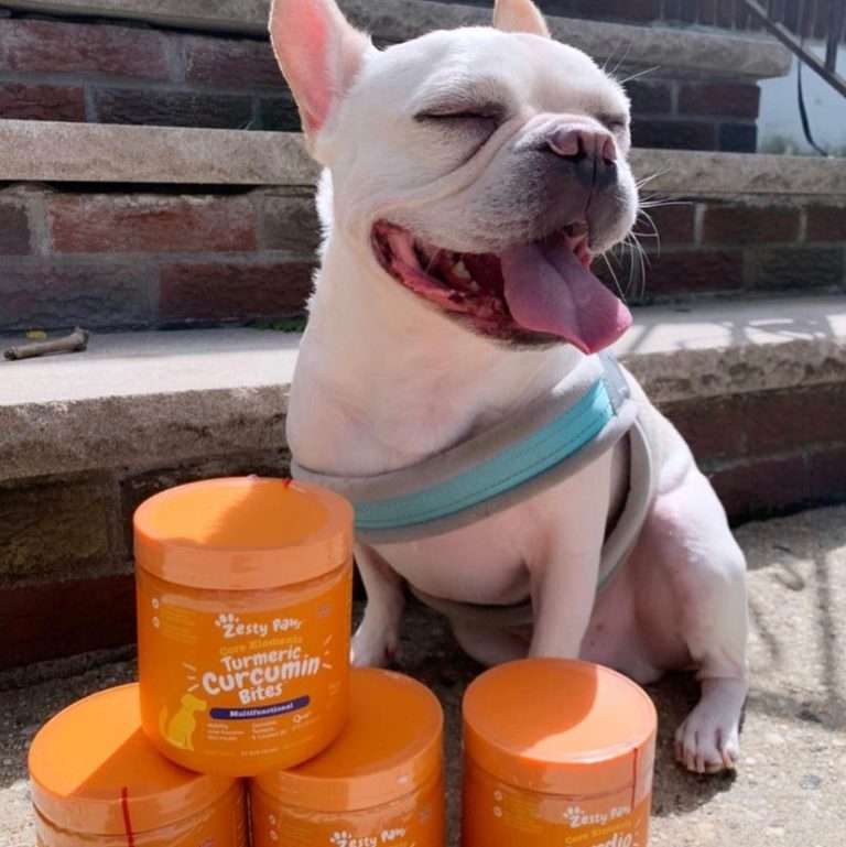 Zesty Paws Review - Must Read This Before Buying