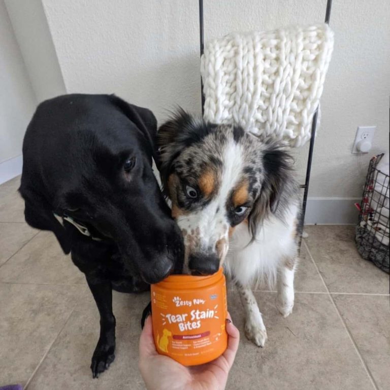 Zesty Paws Review - Must Read This Before Buying