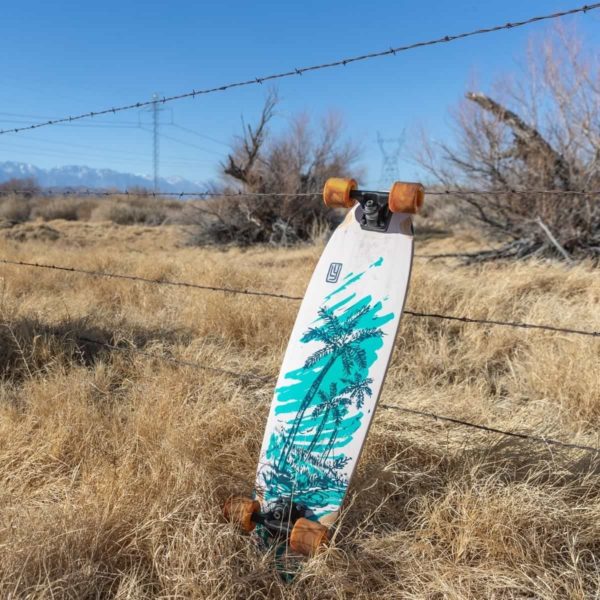 10 Best Longboard Brands - Must Read This Before Buying