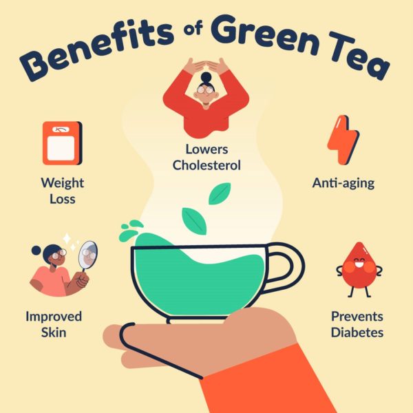 Fastic Review - Must Read This Before Buying