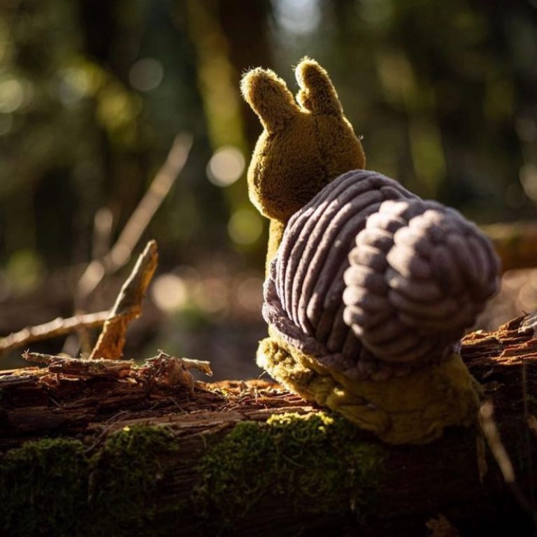 Jellycat Review - Must Read This Before Buying