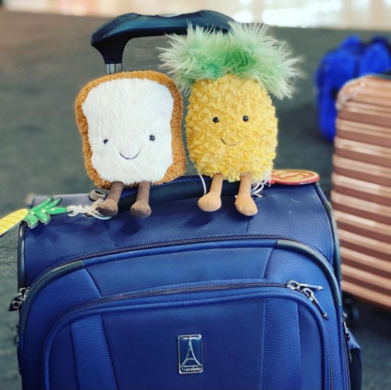 Jellycat Review - Must Read This Before Buying