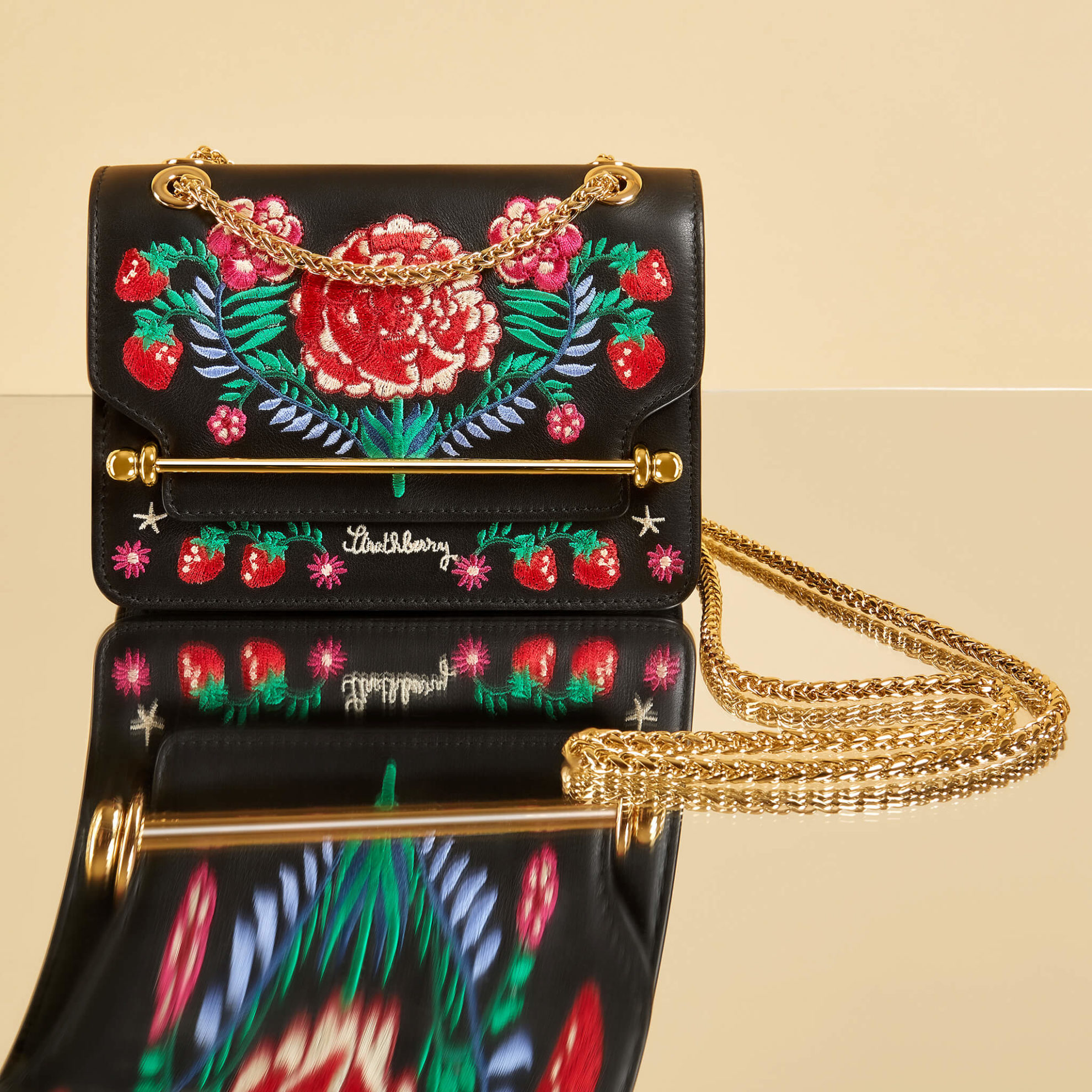 Strathberry Review - Must Read This Before Buying