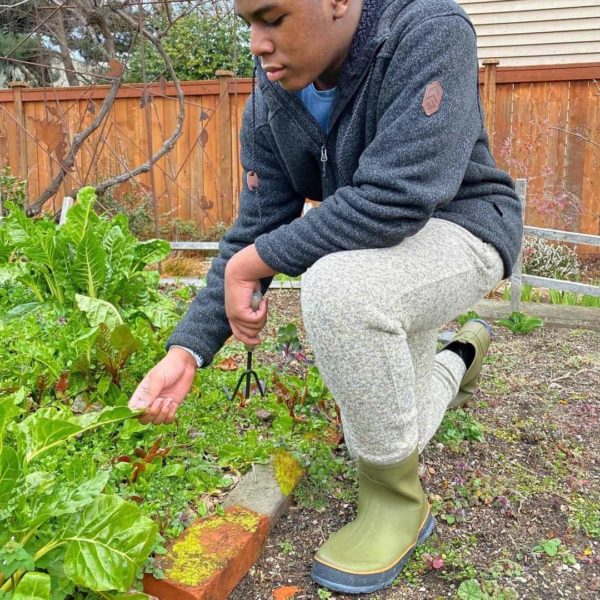 BOGS Review - Must Read This Before Buying