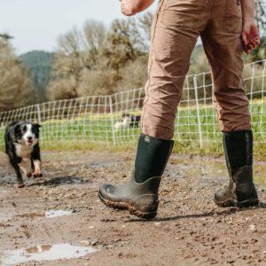 BOGS Review - Must Read This Before Buying