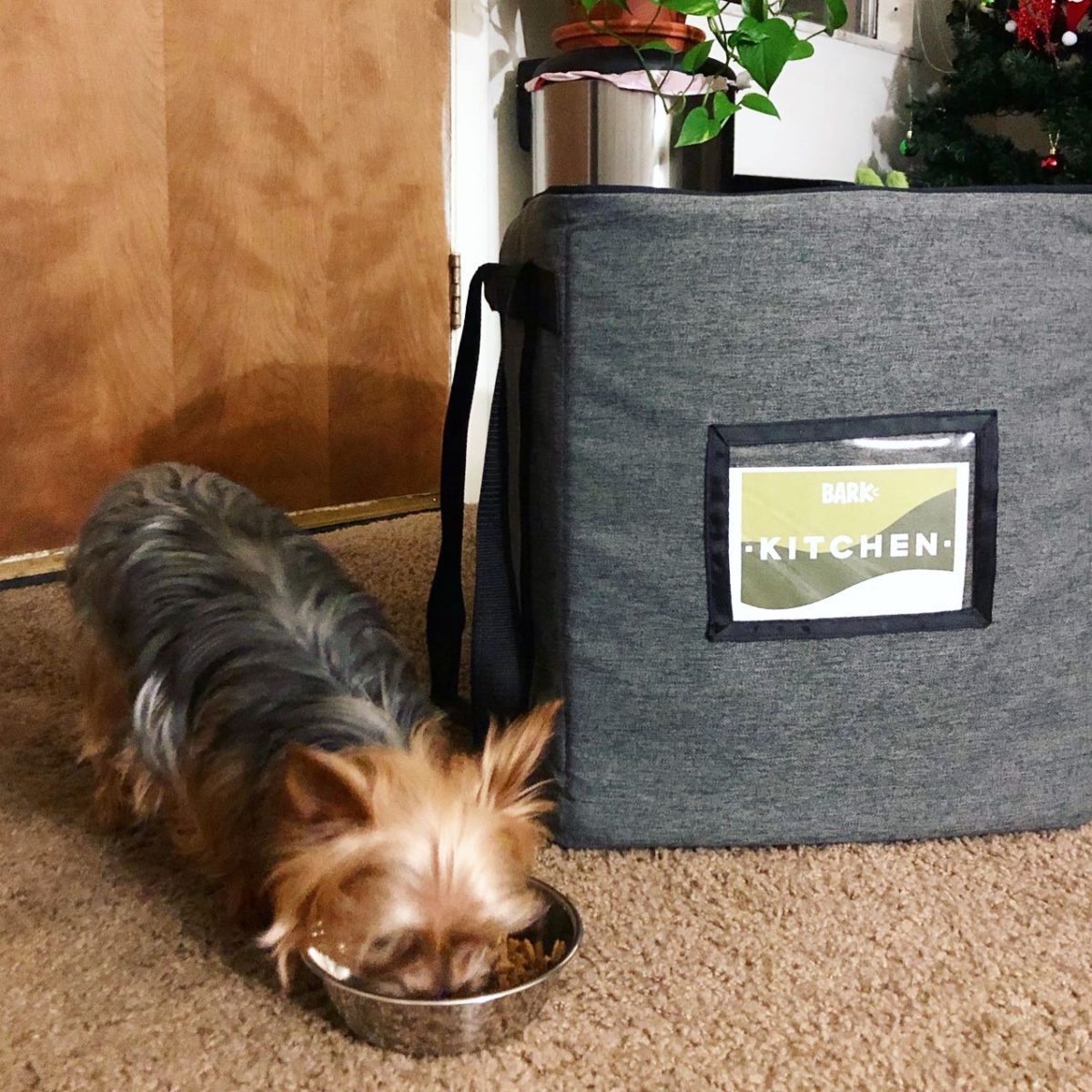 Bark Eats Dog Food Review - Must Read This Before Buying