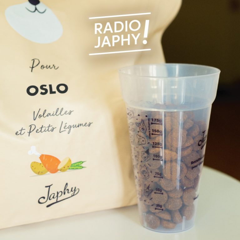 Japhy Review - Must Read This Before Buying