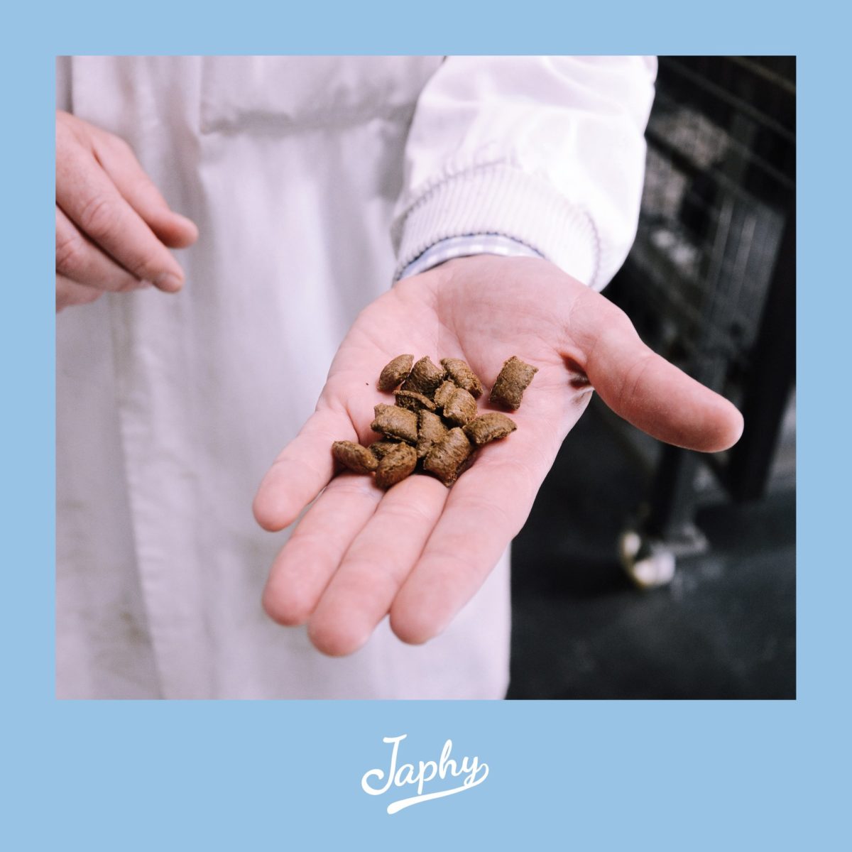 Japhy Review - Must Read This Before Buying