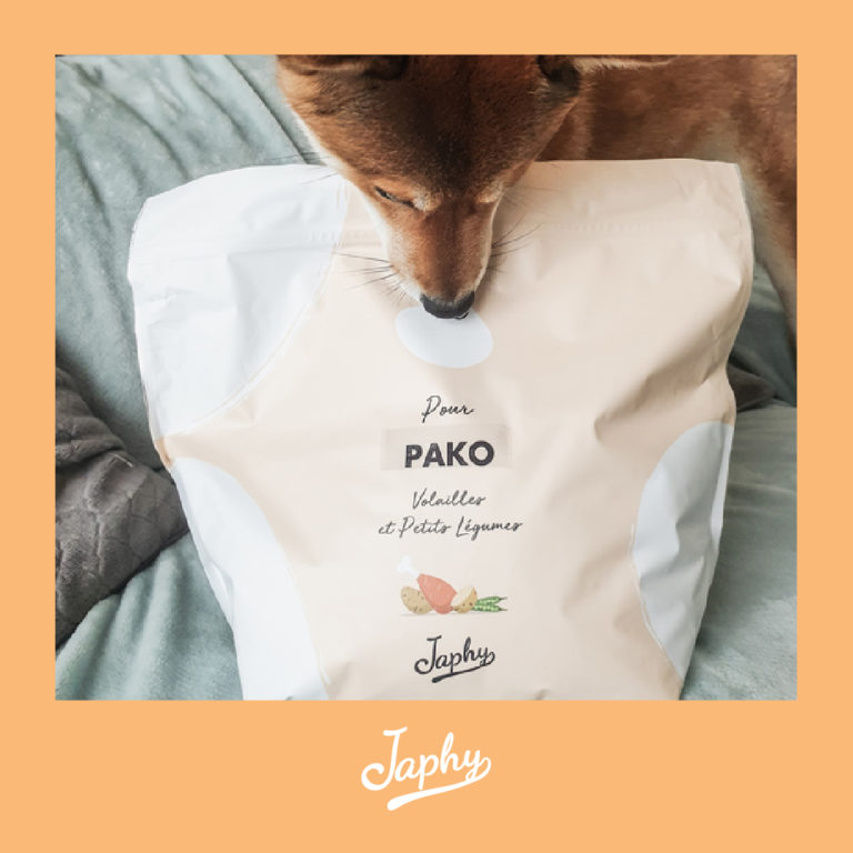 Japhy Review - Must Read This Before Buying