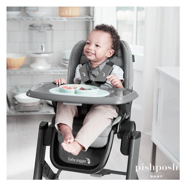 PishPoshBaby Review - Must Read This Before Buying