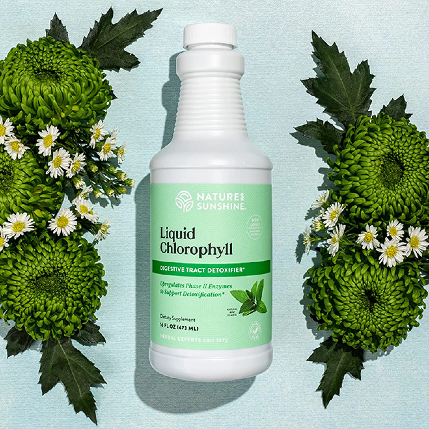20 Best Liquid Chlorophylls - Must Read This Before Buying