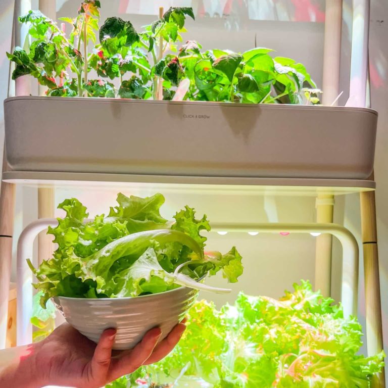 Click and Grow Review - Must Read This Before Buying