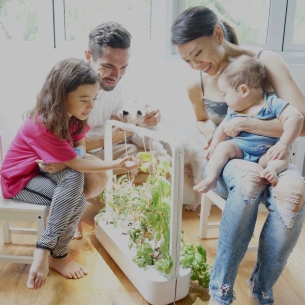 Click and Grow Review - Must Read This Before Buying